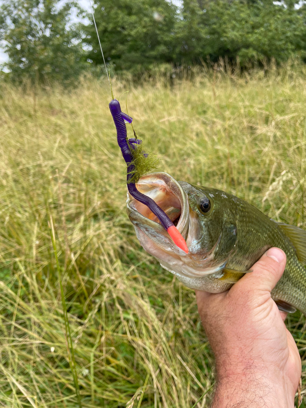 Pre-Rigged Worms – Touchdown Fishing Lures